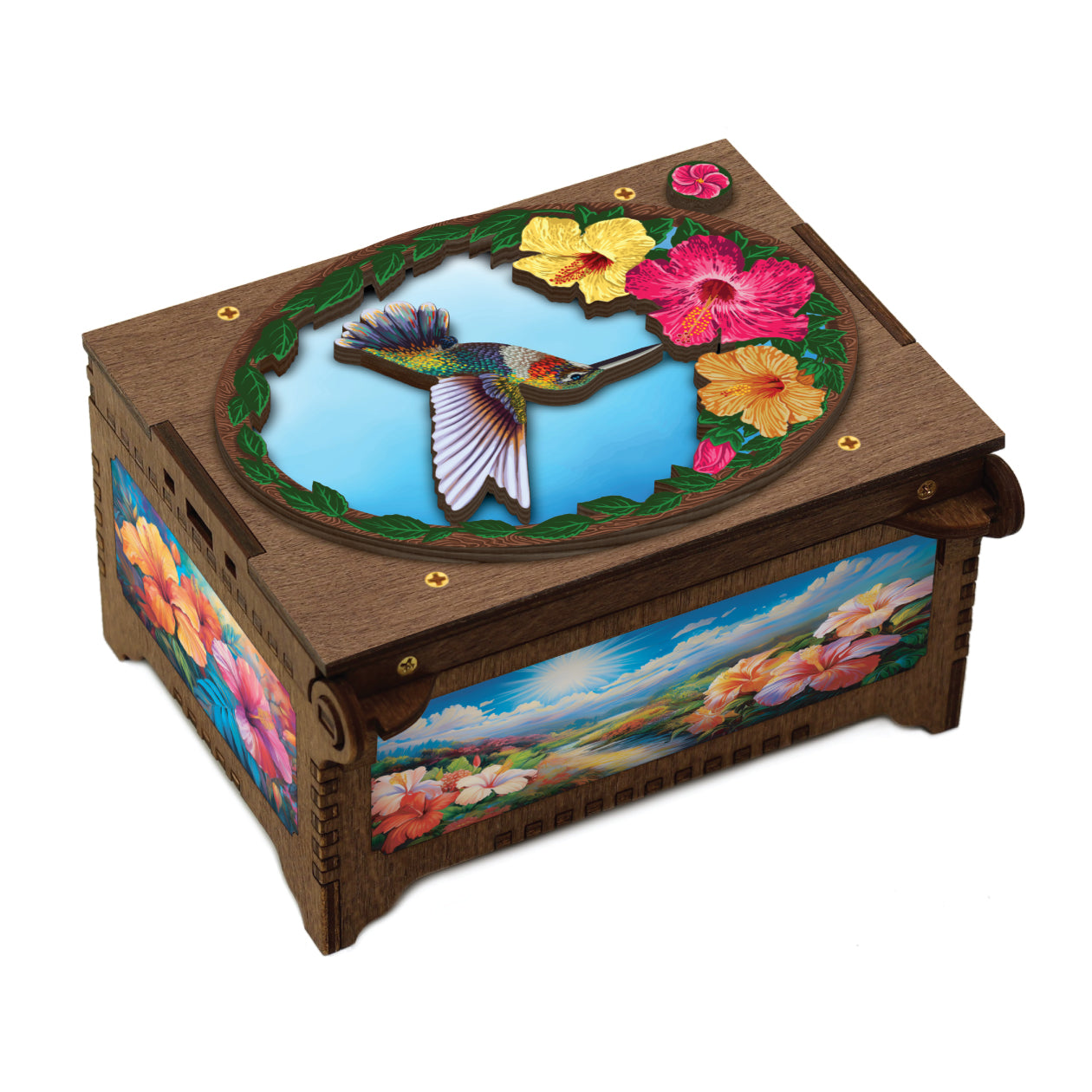 Colorful Hummingbird MP3 Music Box – Davidson Workshop